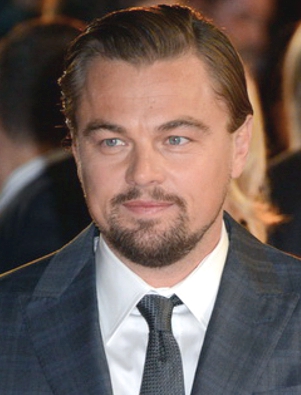The Couch Potato's Guide to the New Hollywood: The Legacy of Leonardo ...