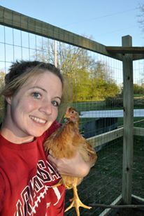 Kickass and Companion Chickens by Bill Stokes « The Pen in Hand Blog