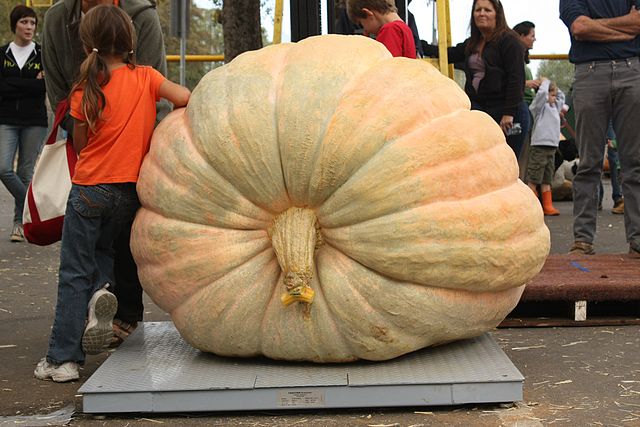 Kickass and Great Pumpkin by Bill Stokes « Geoffrey Carter